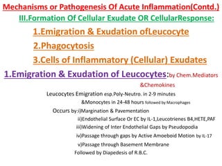 1.Acute Inflammation | PPTX | Blood Disorders | Diseases and Conditions