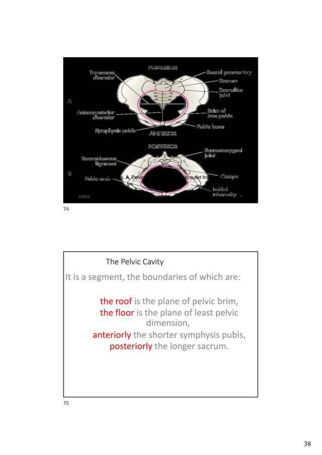 1. labor delivery | PDF