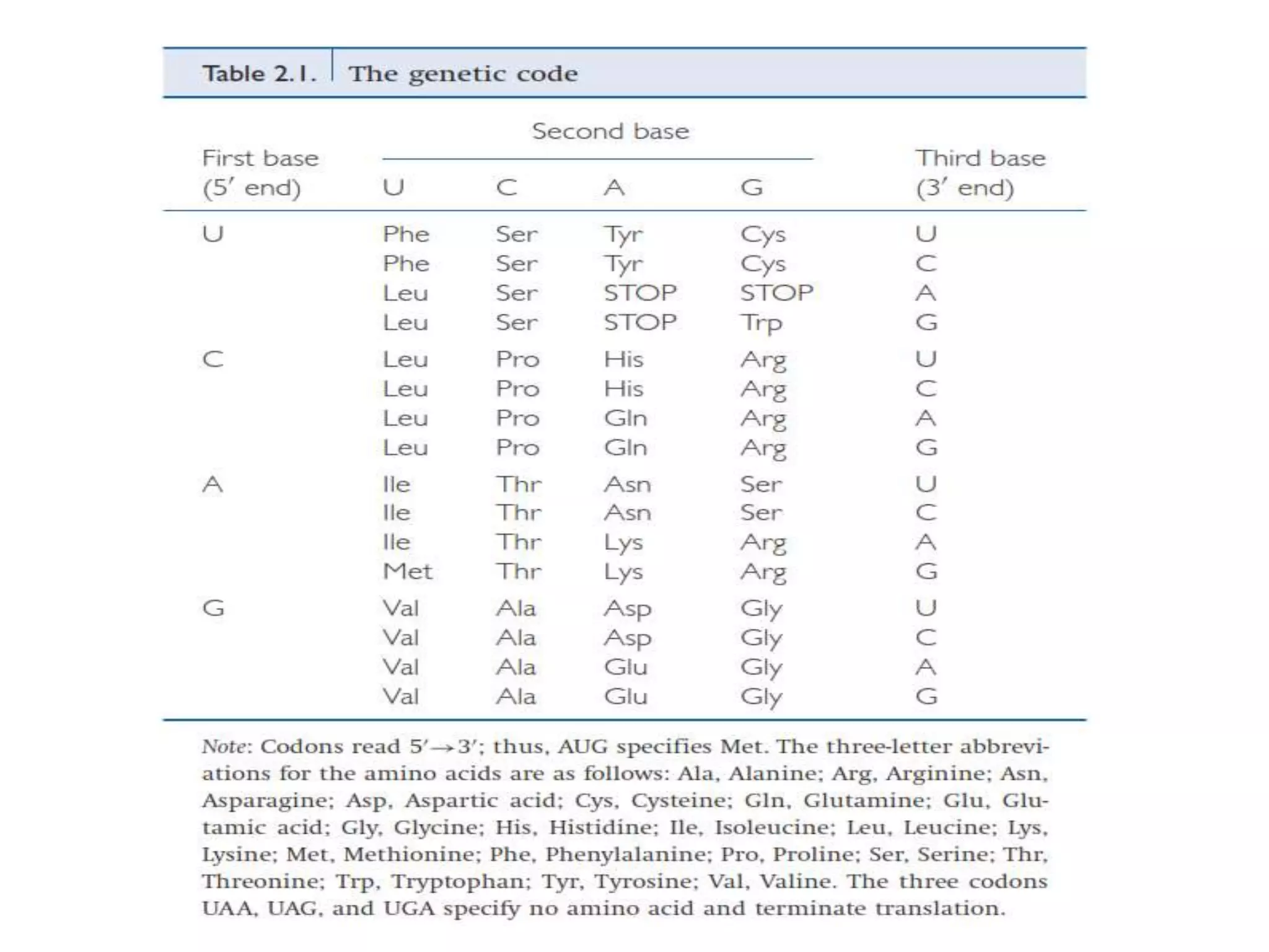 1.introduction to genetic engineering and restriction enzymes | PPTX