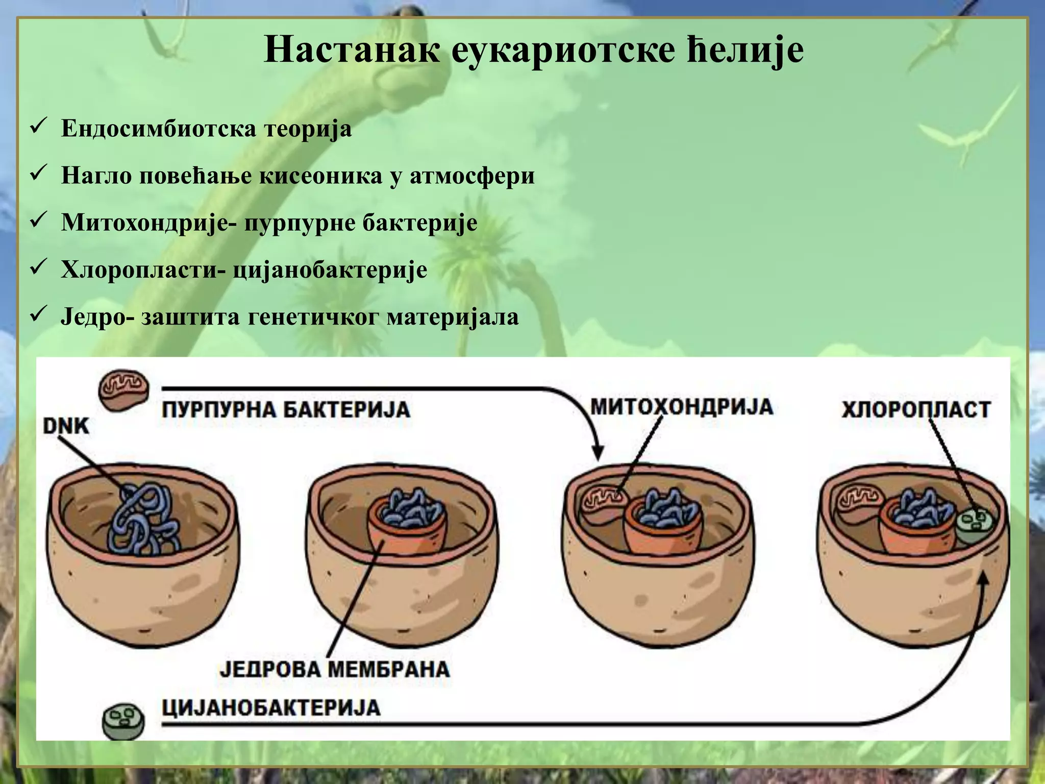 1. Podaci o evoluciji, hemijska i bioloska evolucija | PPT
