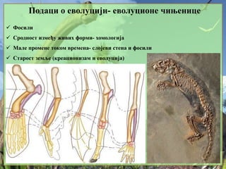 1. Podaci o evoluciji, hemijska i bioloska evolucija | PPT