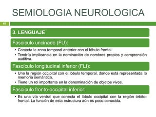 1. semiologia neurologica...parte i | PPTX