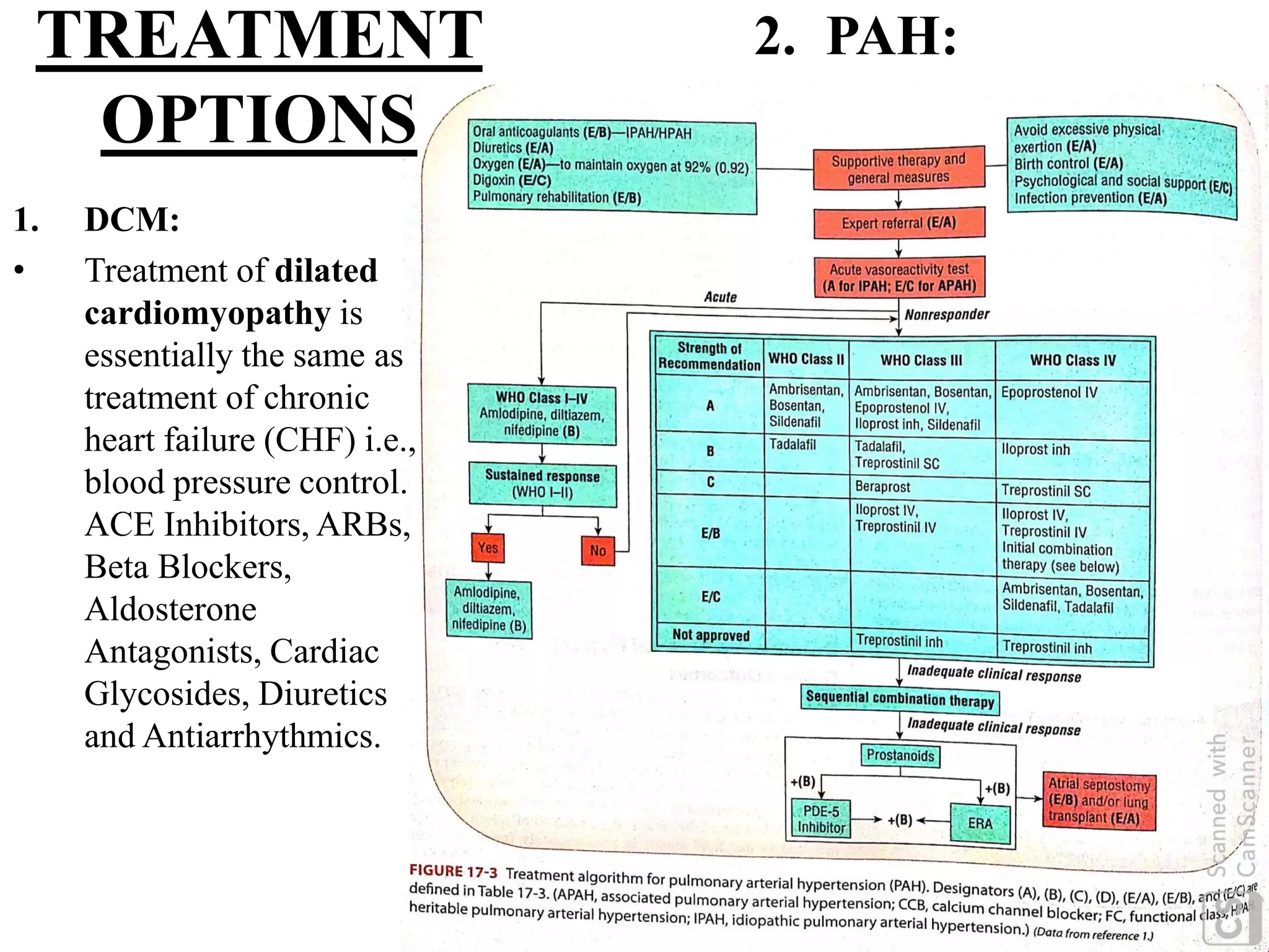 1. a case study on dcm with severe pah | PDF