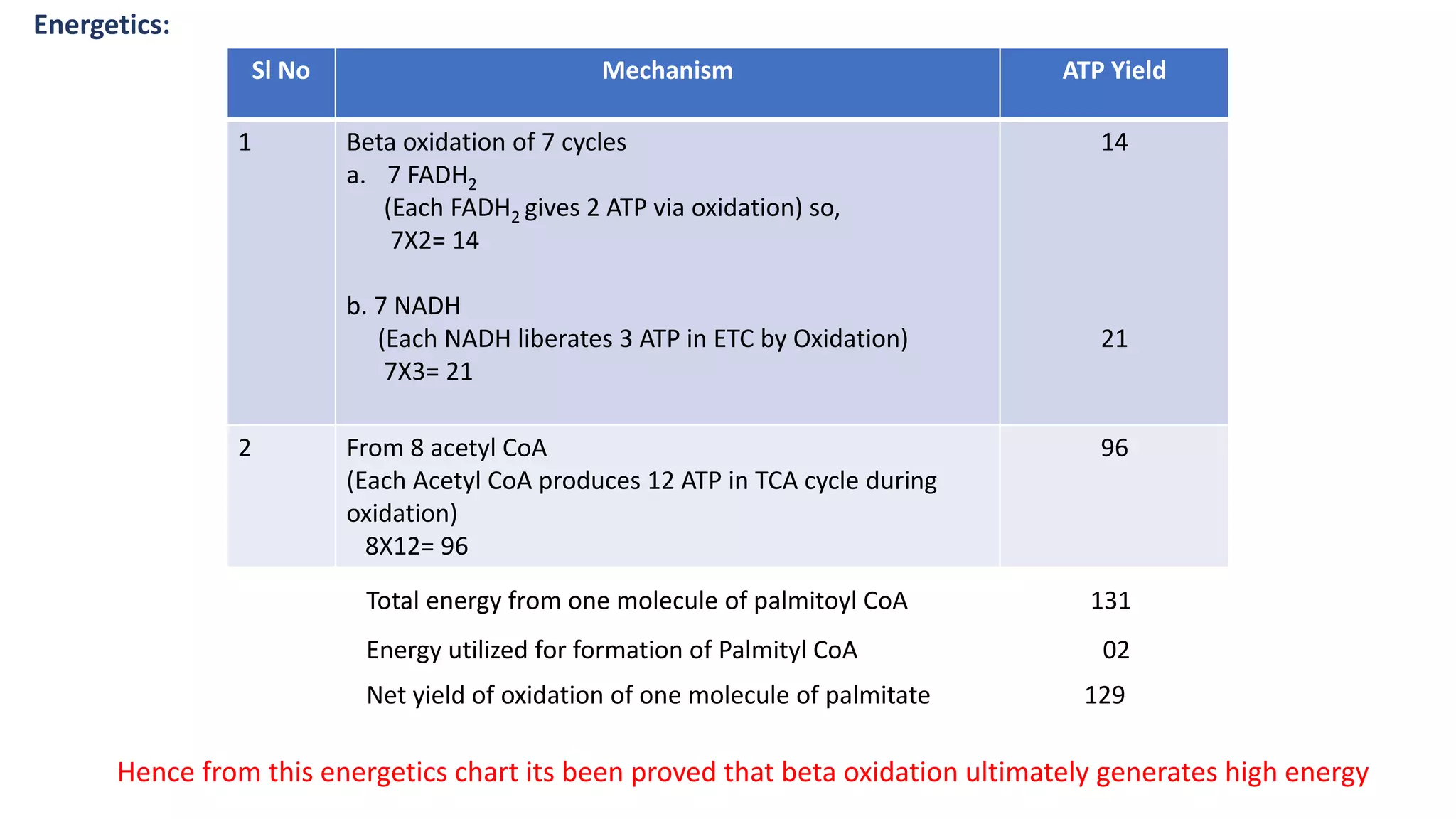 Lipid metabolism beta oxidation of fatty acids | PPTX