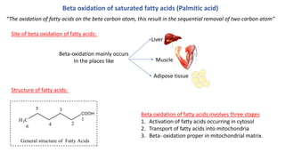 Lipid metabolism beta oxidation of fatty acids | PPTX