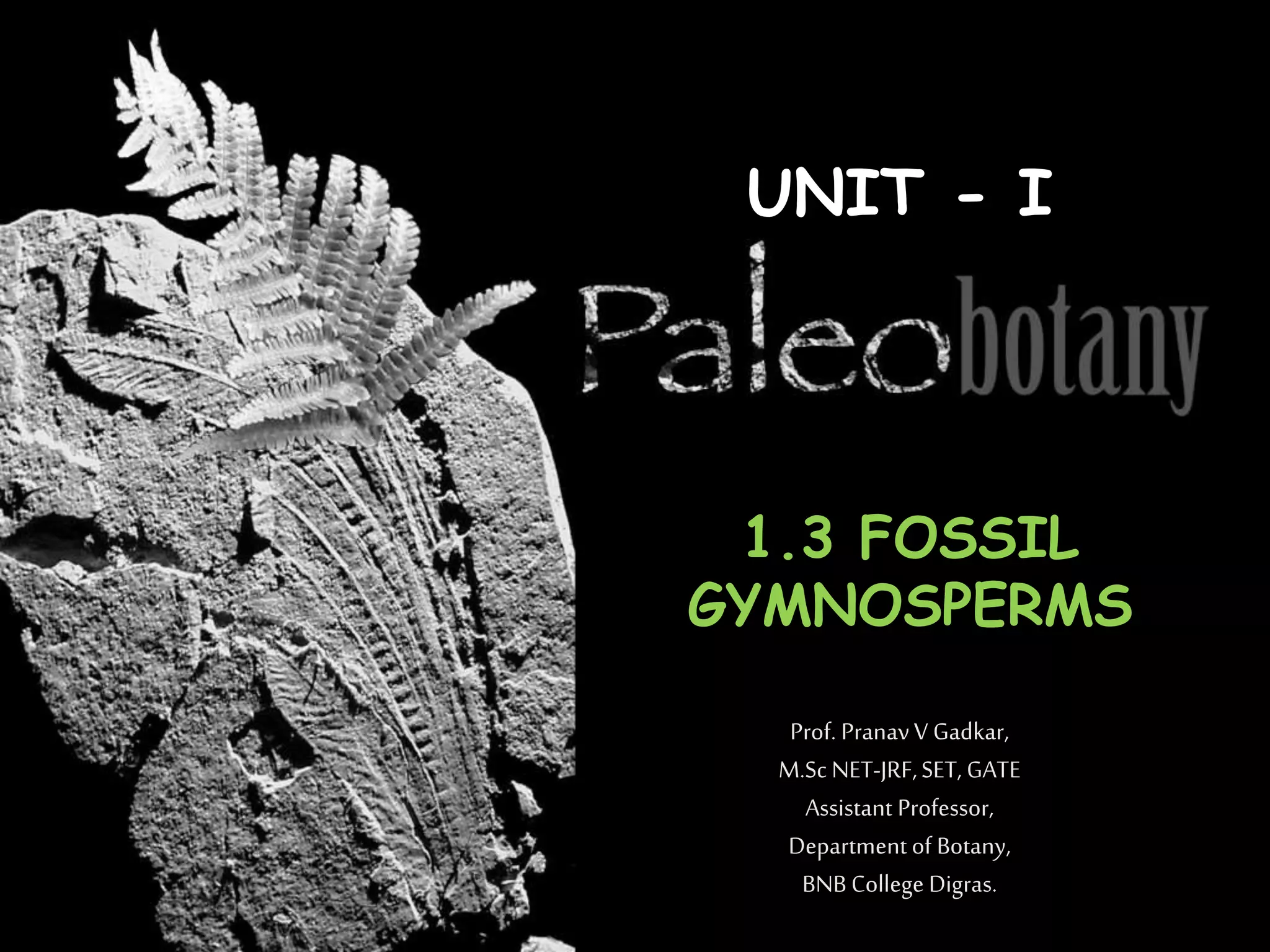 1.3.Fossil Gymnosperms B.Sc I Sem II SGBAU | PPSX