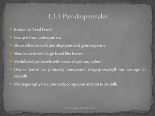 1.3.Fossil Gymnosperms B.Sc I Sem II SGBAU | PPSX