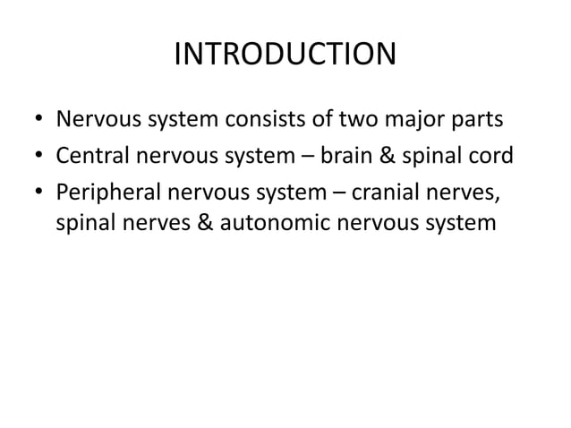 Central Nervous system review | PPT