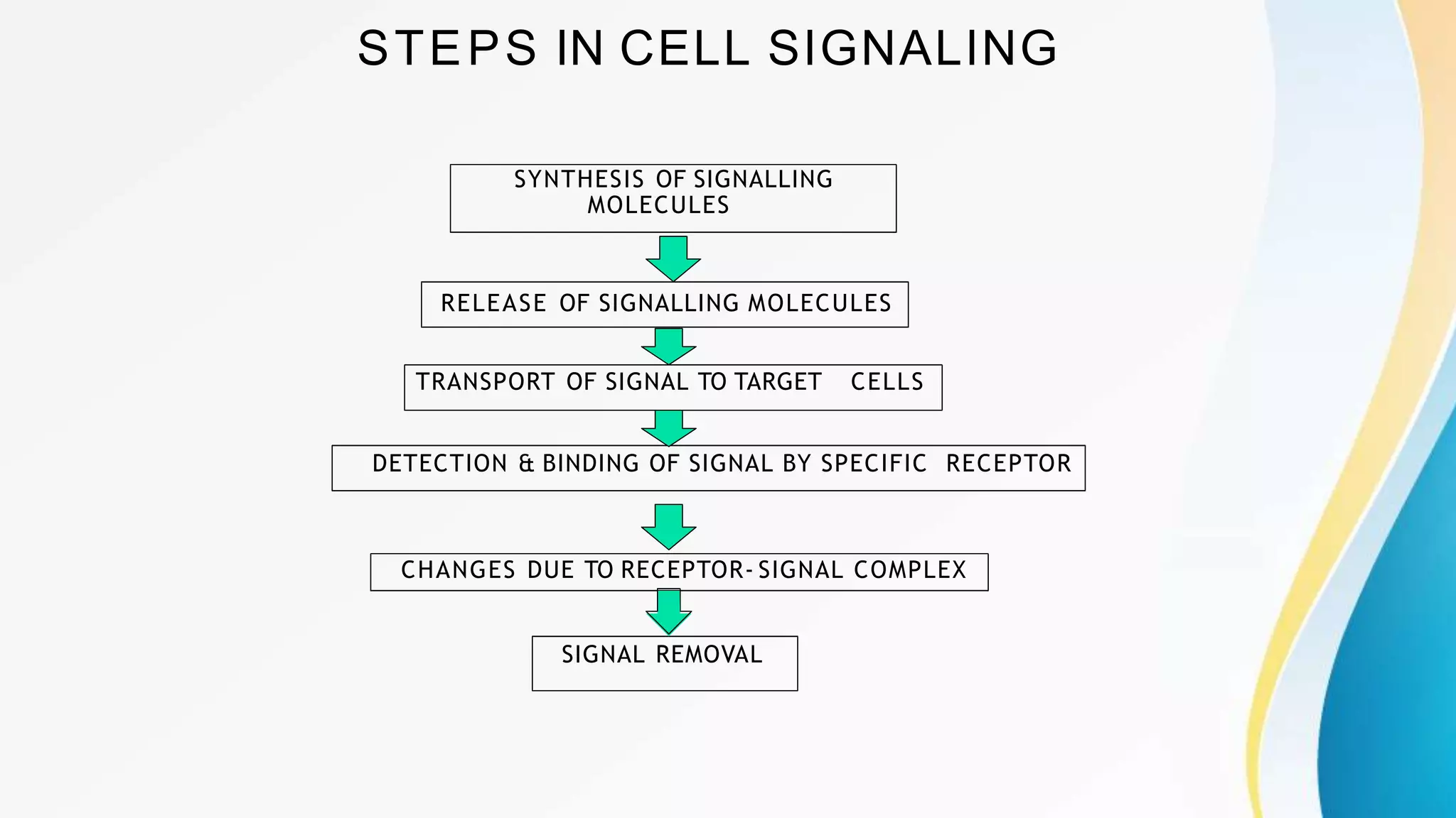 Cell Signaling | Steps Involved | Types | Receptors | Signal ...