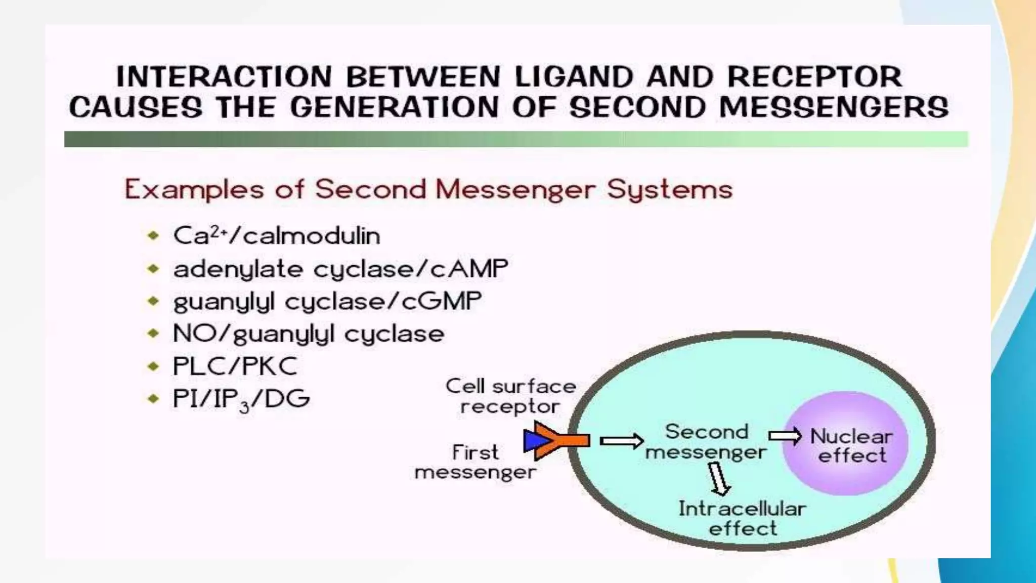 Cell Signaling | Steps Involved | Types | Receptors | Signal ...