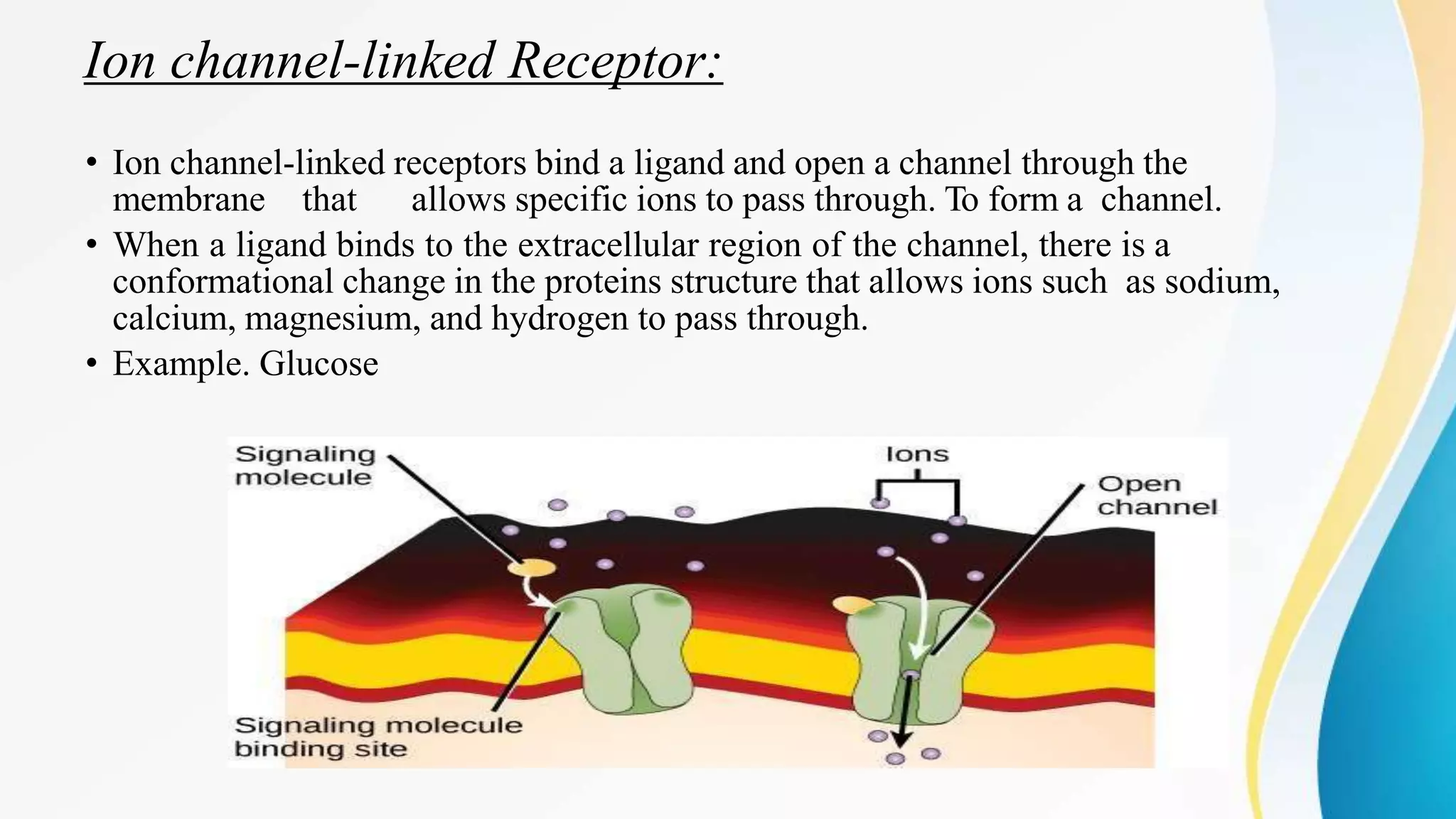 Cell Signaling | Steps Involved | Types | Receptors | Signal ...