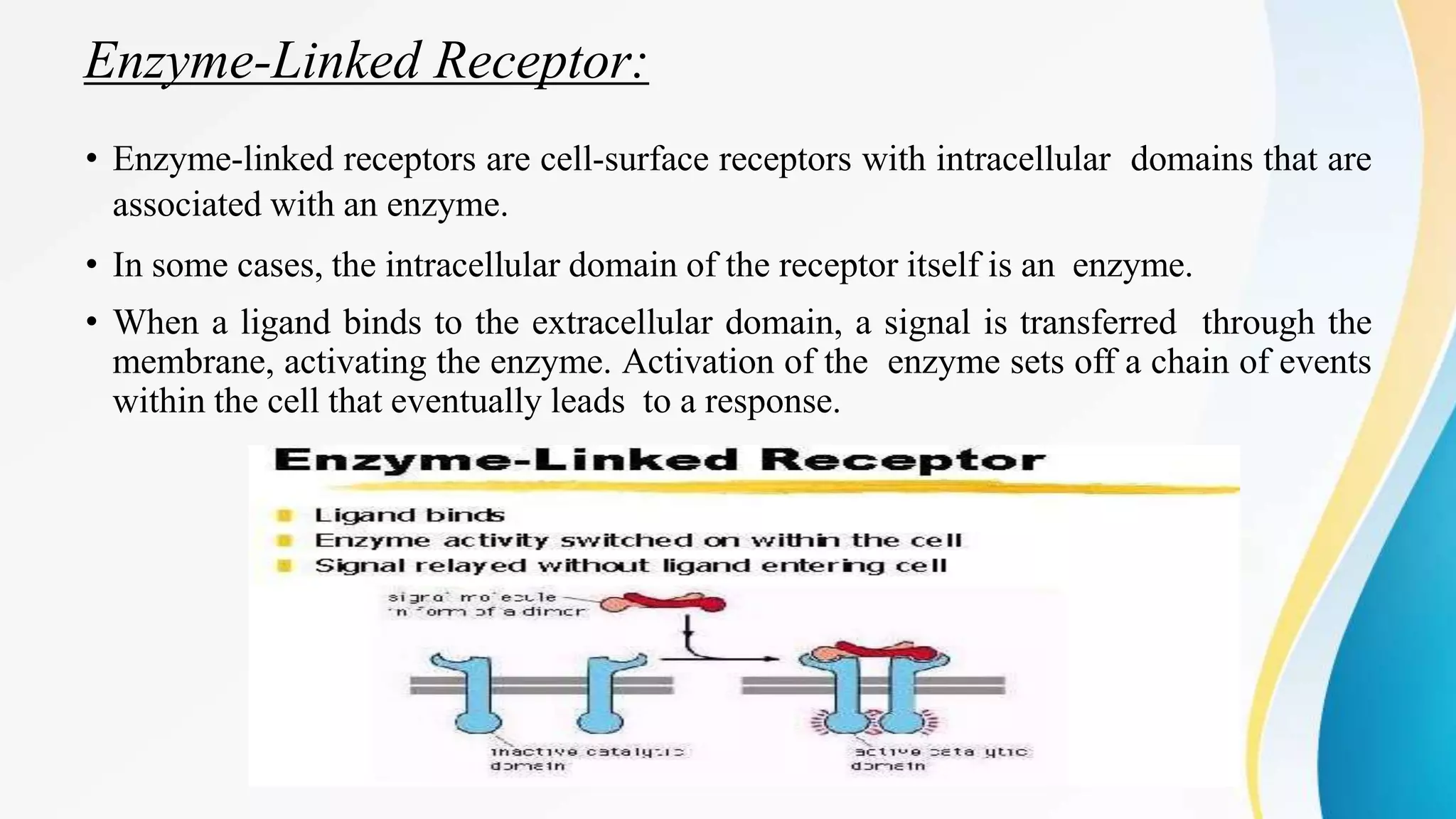 Cell Signaling | Steps Involved | Types | Receptors | Signal ...