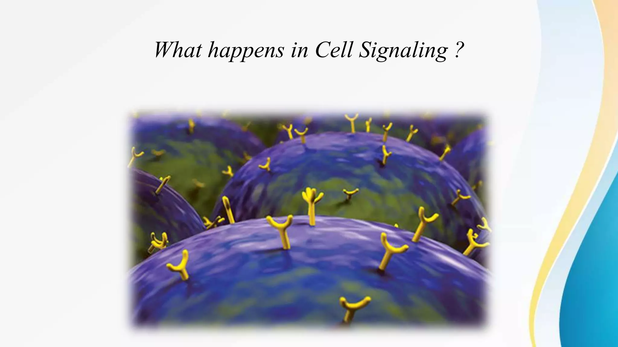Cell Signaling | Steps Involved | Types | Receptors | Signal ...
