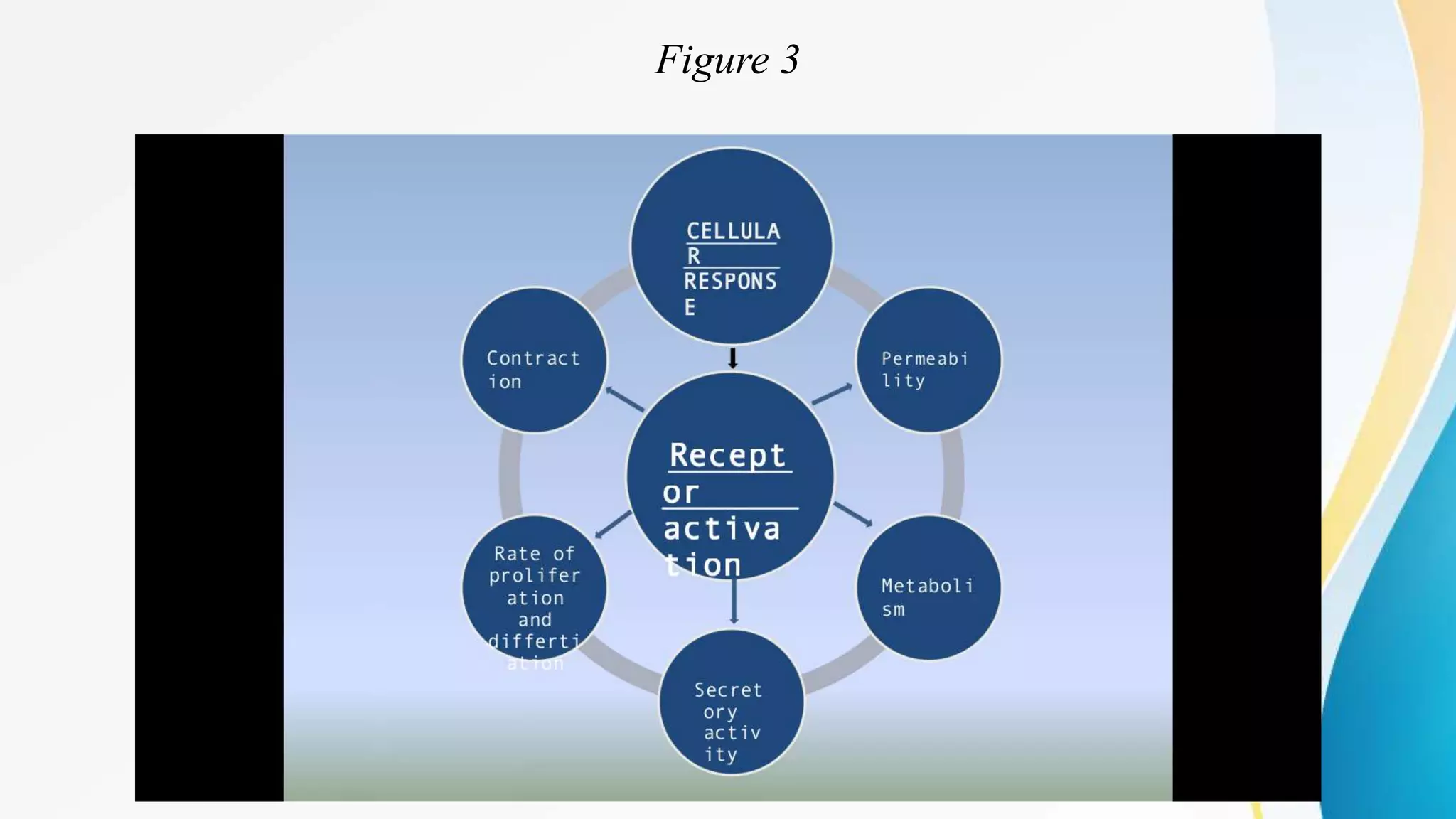 Cell Signaling | Steps Involved | Types | Receptors | Signal ...