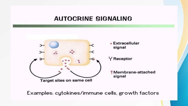 Cell Signaling | Steps Involved | Types | Receptors | Signal ...