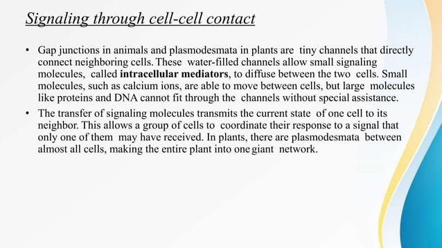 Cell Signaling | Steps Involved | Types | Receptors | Signal ...