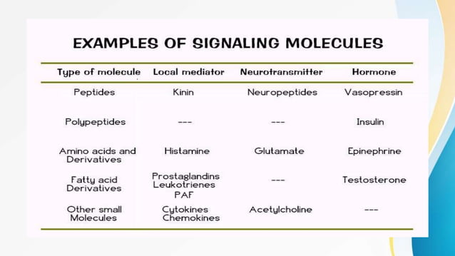 Cell Signaling | Steps Involved | Types | Receptors | Signal ...