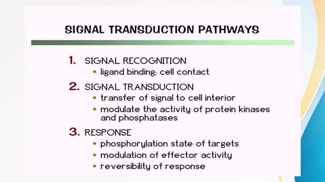 Cell Signaling | Steps Involved | Types | Receptors | Signal ...