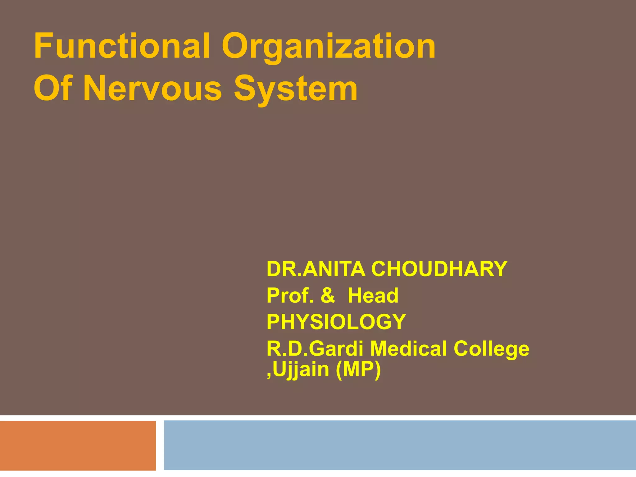 1. Central Nervous System - Functional Organization (Physiology) | PPTX