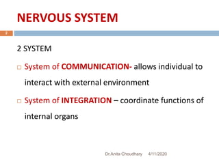 1. Central Nervous System - Functional Organization (Physiology) | PPTX