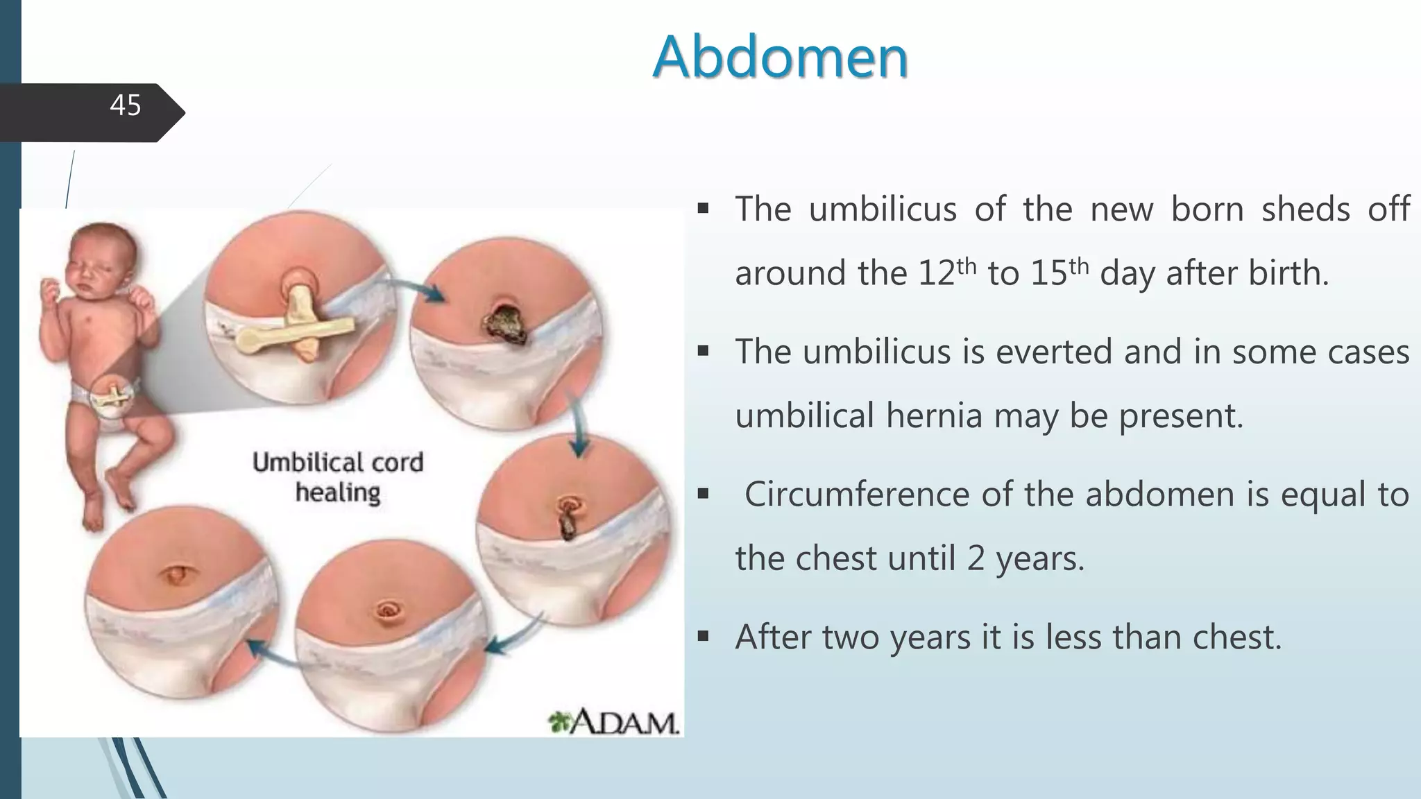 1. pedologic anatomy with special emphasis on its applied | PPTX