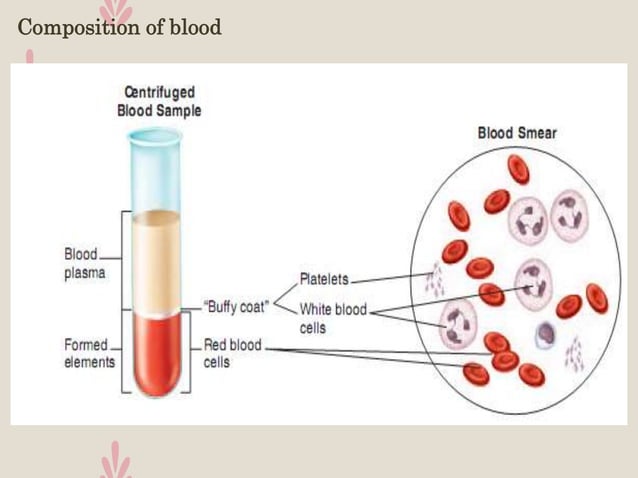 BLOOD composition&functions of blood,plasma proteins.(The Guyton and ...