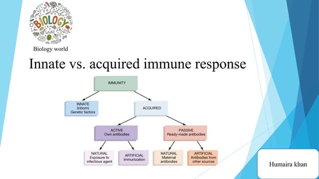 Innate vs. adaptive immunity | PPT