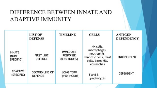 Innate vs. adaptive immunity | PPT Innate vs. adaptive immunity | PPT