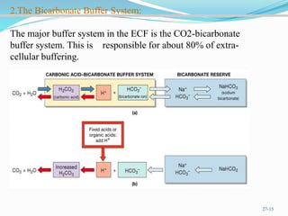 buffer by K.K. Sahu Sir | PPT