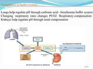 buffer by K.K. Sahu Sir | PPT