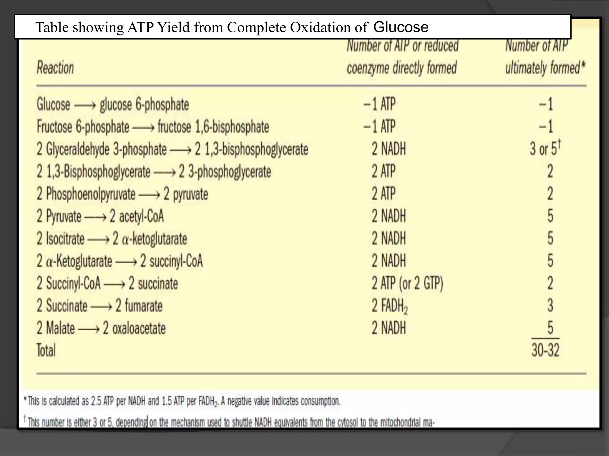 atp production & utilization ppt | PPT