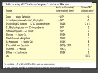 atp production & utilization ppt | PPT