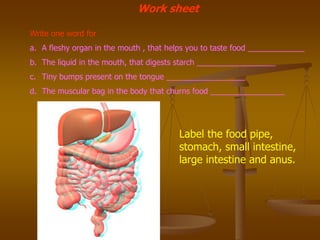 from tasting to digesting | PPT