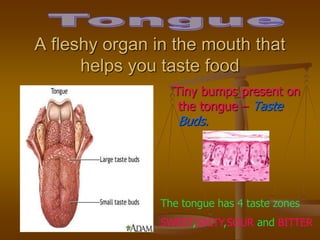 from tasting to digesting | PPT