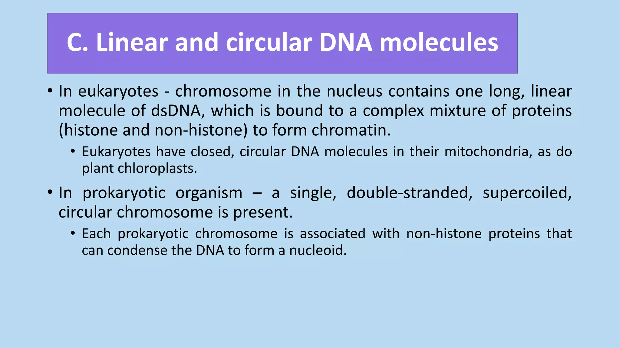 Structure of DNA | PPT