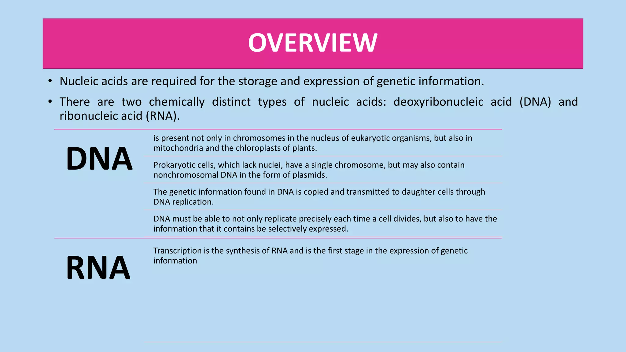 Structure of DNA | PPT