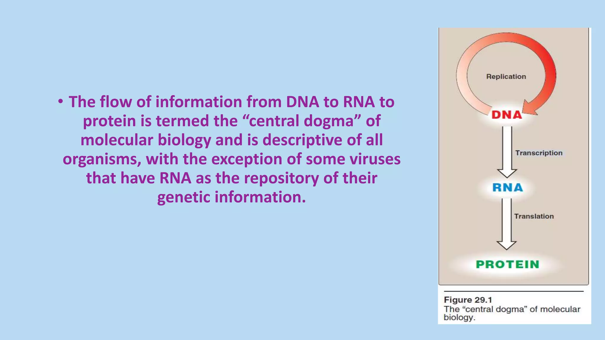Structure of DNA | PPT