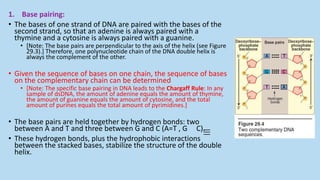 Structure of DNA | PPT