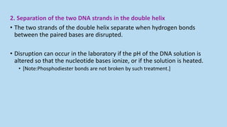 Structure of DNA | PPT