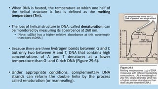 Structure of DNA | PPT