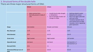 Structure of DNA | PPT