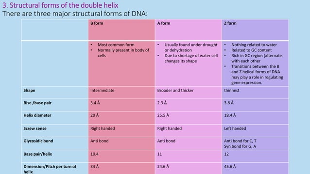 Structure of DNA | PPT