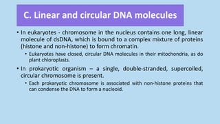 Structure of DNA | PPT
