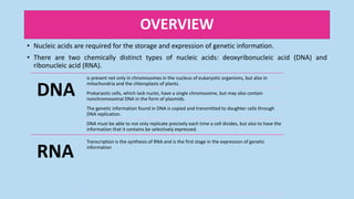 Structure of DNA | PPT