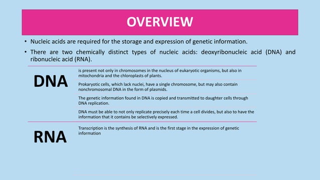 Structure of DNA | PPT
