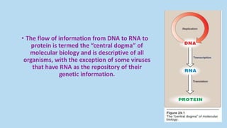 Structure of DNA | PPT