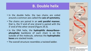 Structure of DNA | PPT