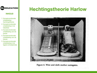 PPT theoretische omkadering (sociaal emotionele ontwikkeling) | PPTX