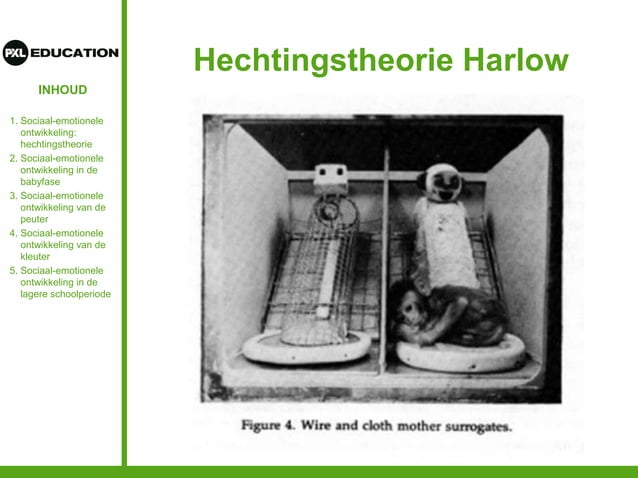 PPT theoretische omkadering (sociaal emotionele ontwikkeling) | PPTX ...