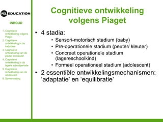 PPT theoretische omkadering (cognitieve ontwikkeling) | PPTX
